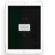 iPad Air 2: The One New Apple iPad Worth Considering | InvestorPlace