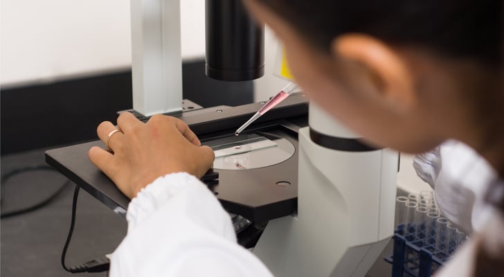 Why Cellect Biotechnology Ltd. (APOP) Stock Is Soaring Today ...