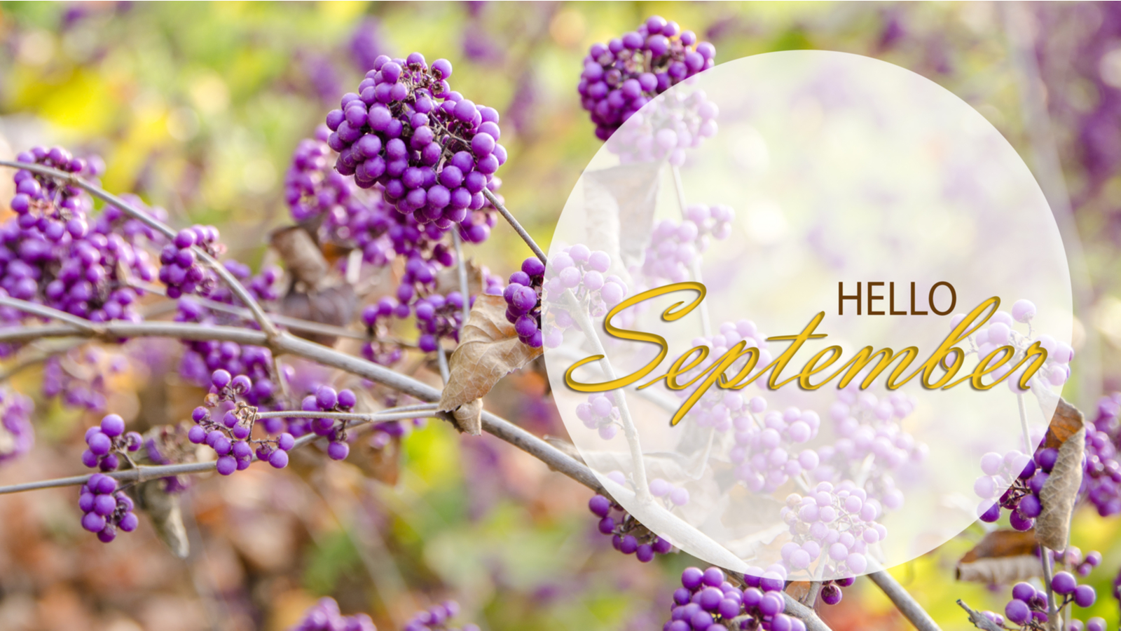 10 Hello September Images to Post on Social Media | InvestorPlace