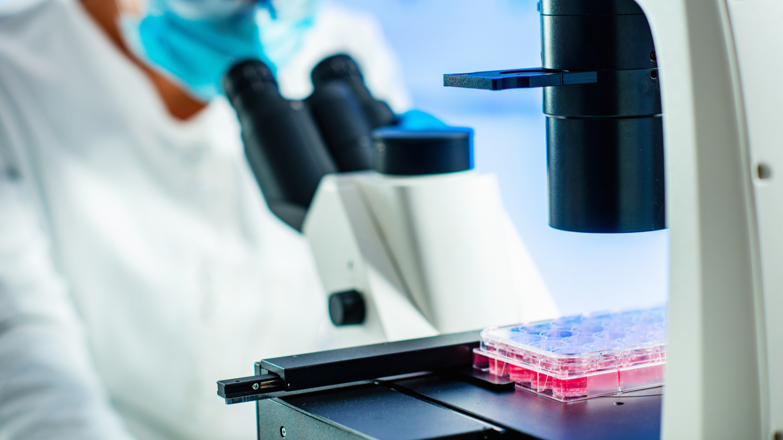 Cellect Biotechnology News: APOP Stock Rockets 76% on New Patent ...