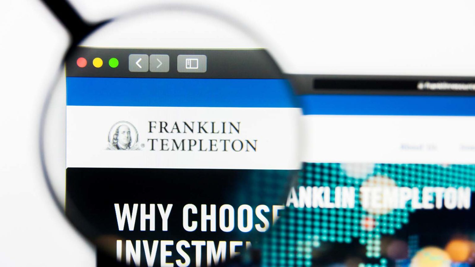 7 Dividend-Paying Growth Stocks To Buy for the Best Of Both Worlds ...