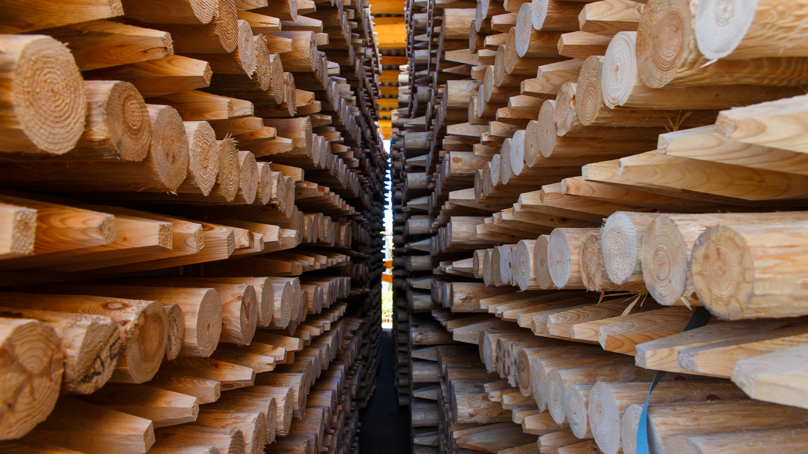 7 Climate Change Stocks With Hot Potential for 2024 | InvestorPlace