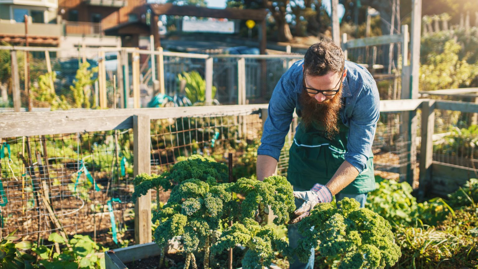 4 Best Vertical Farming Stocks to Buy Now | InvestorPlace